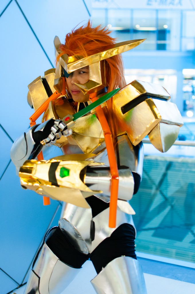 RG13_Cos_015 - Ani-Channel